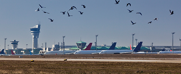 Safely is of course fundamental to the aviation industry. Aerodromes ...